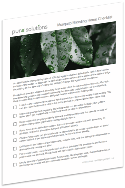 Mosquito Breeding Checklist Offer